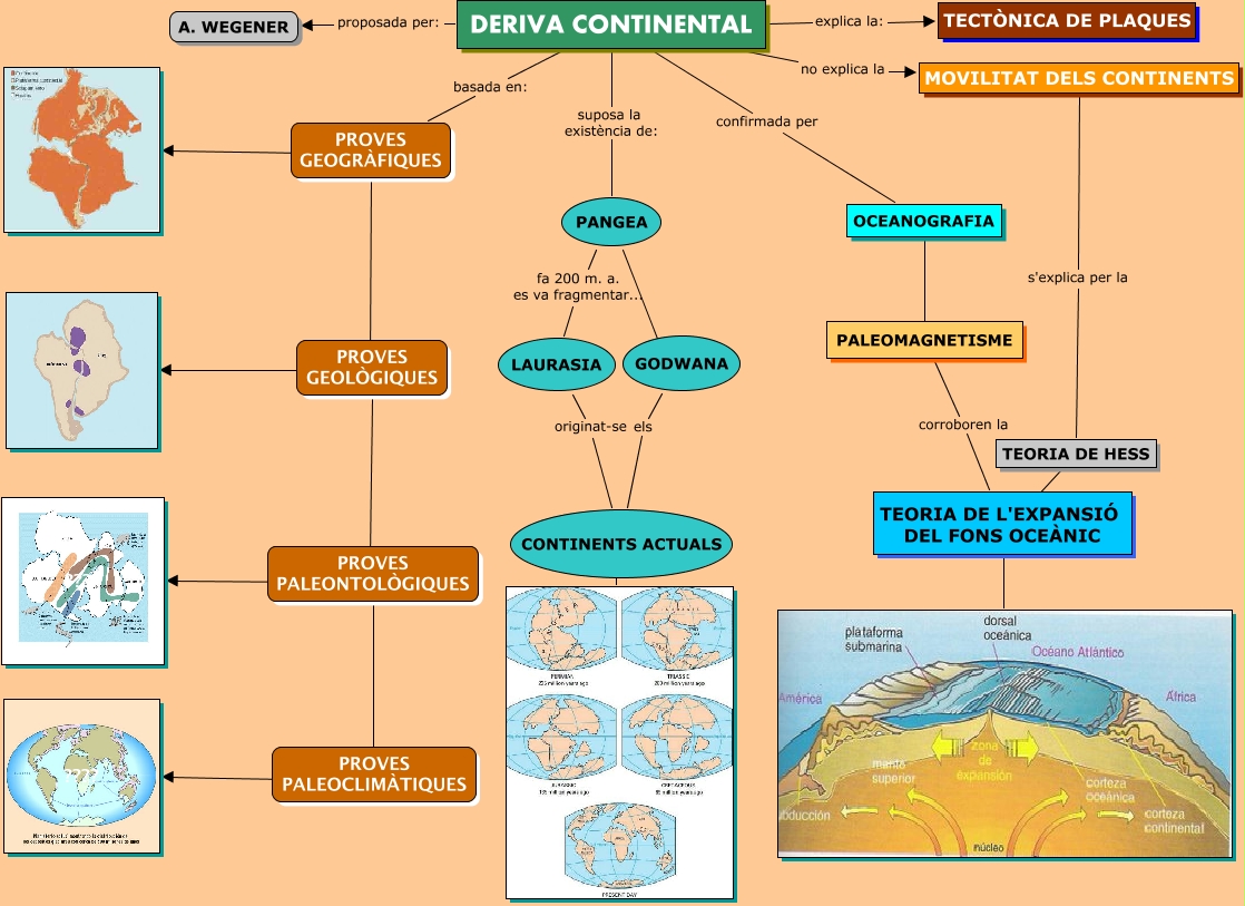 DERIVA CONTINENTAL