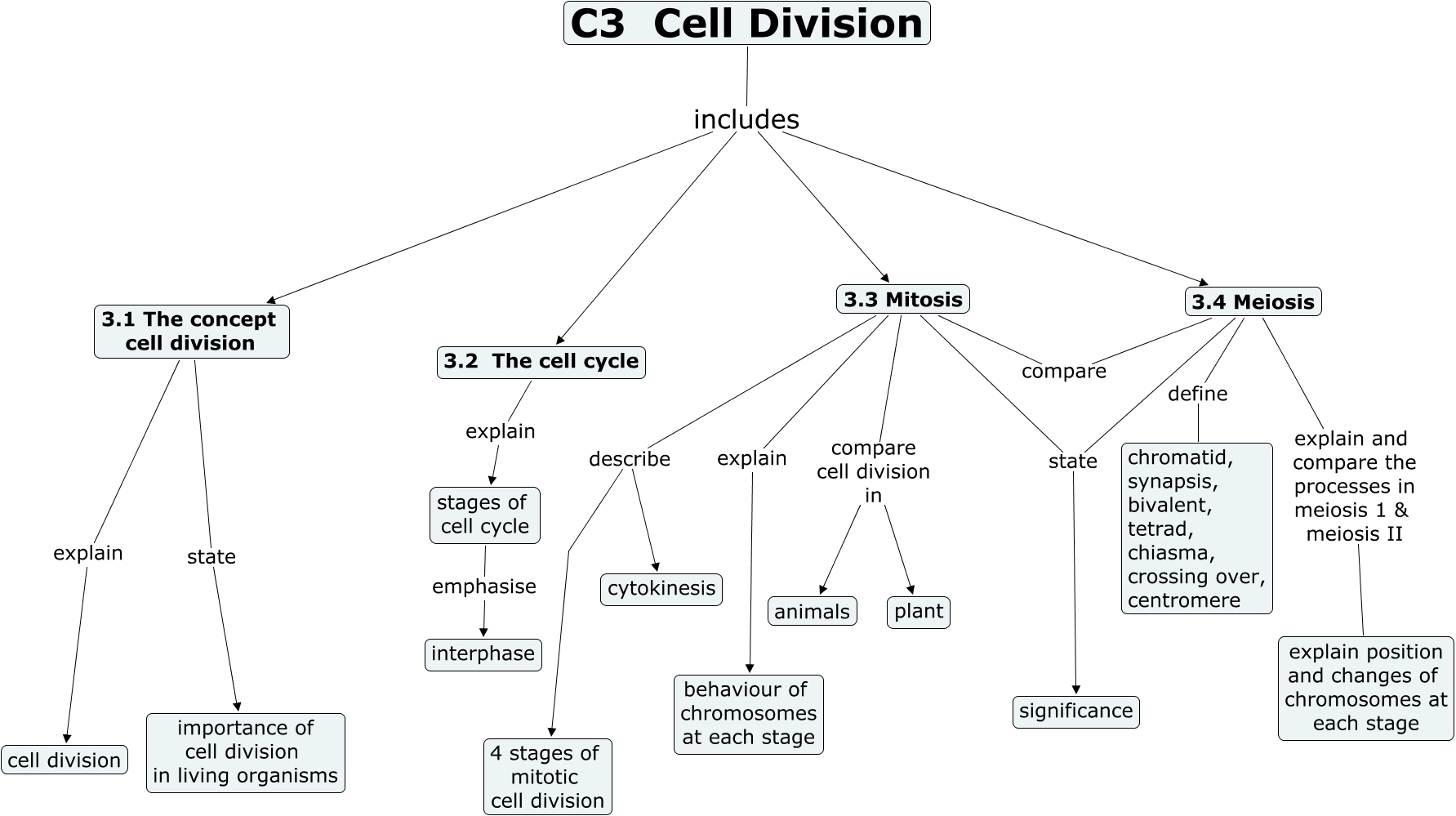 Cell Division Concept Map