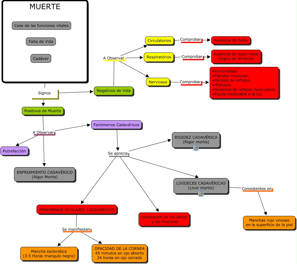 La muerte - ¿Que puede observar un policía para saber si una persona ha ...