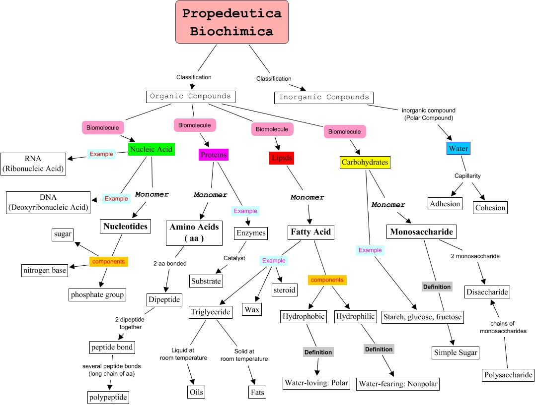 biochemistry - bio hw
