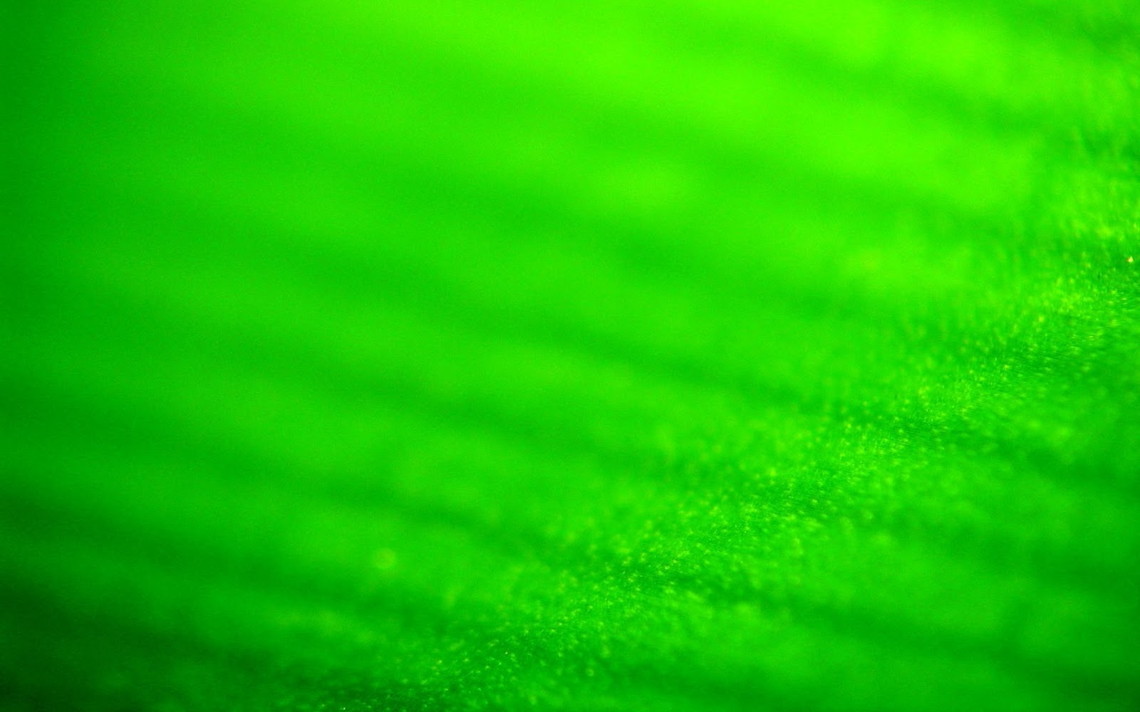 Fondo web verde - Imagui