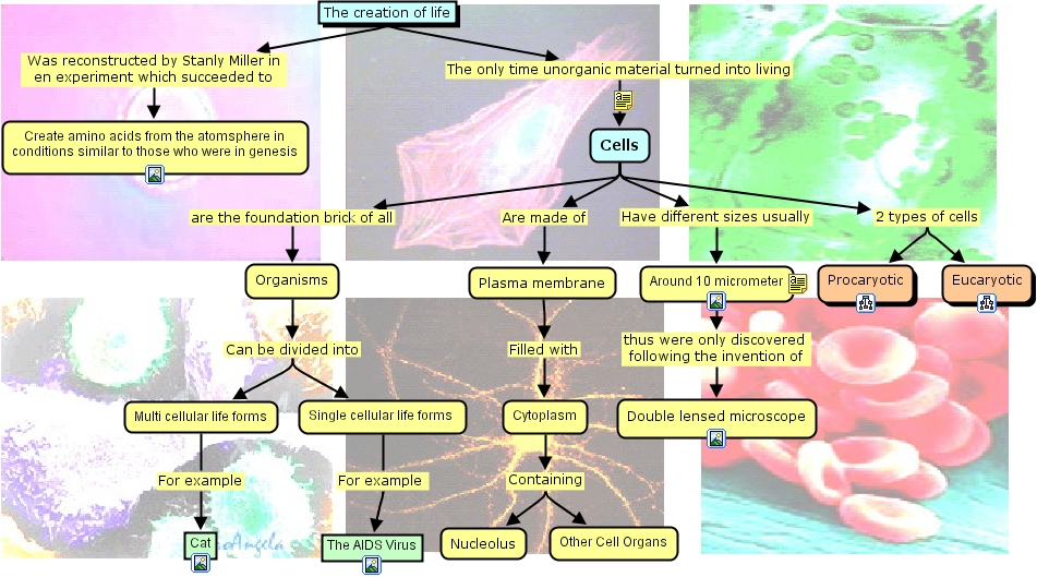 IHMC CmapTools - Concept Map :: Cellular Theory