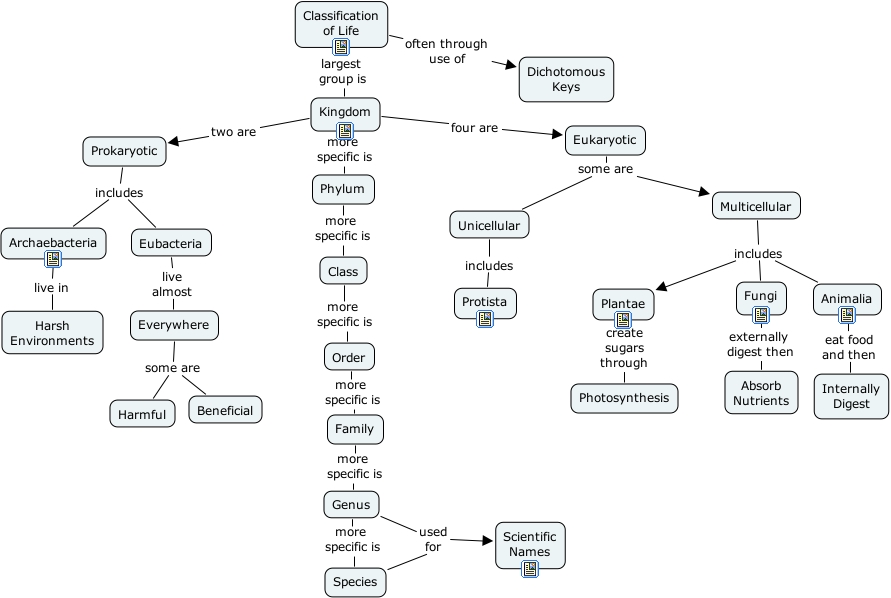 Classification of Life C9 - How do biologists classify life forms?