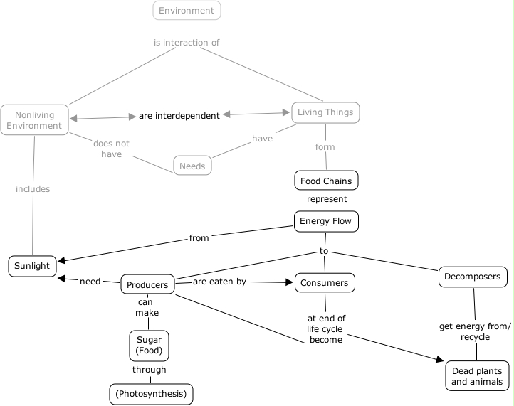 Food Chain Frame R3 - How do food chains illustrate energy flow in ...