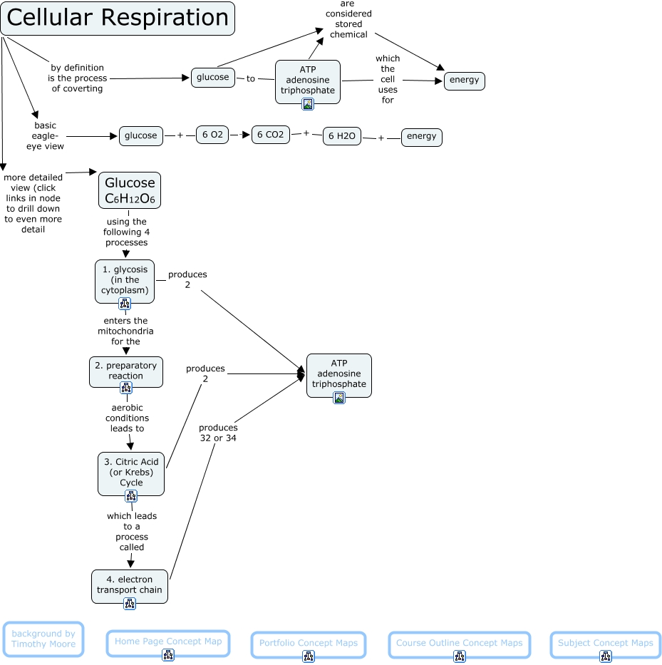 Aerobic Cellular Respiration Concept Map