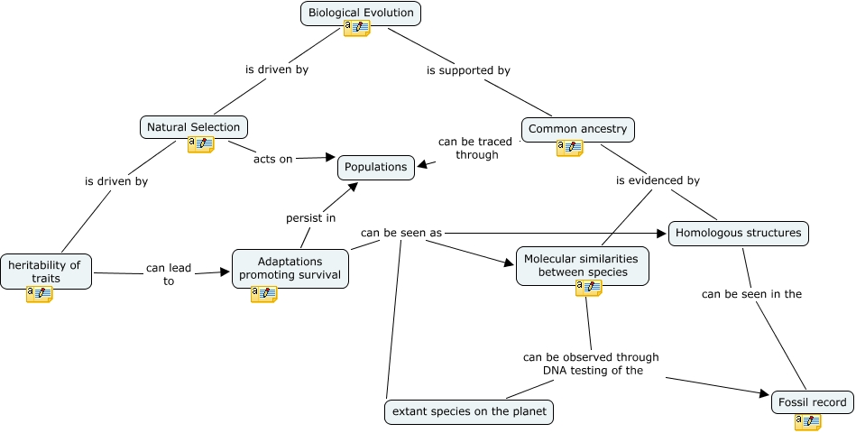 Biological evolution by Kenric