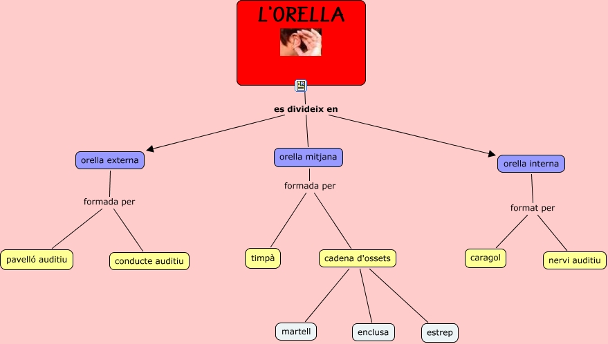 l'orella