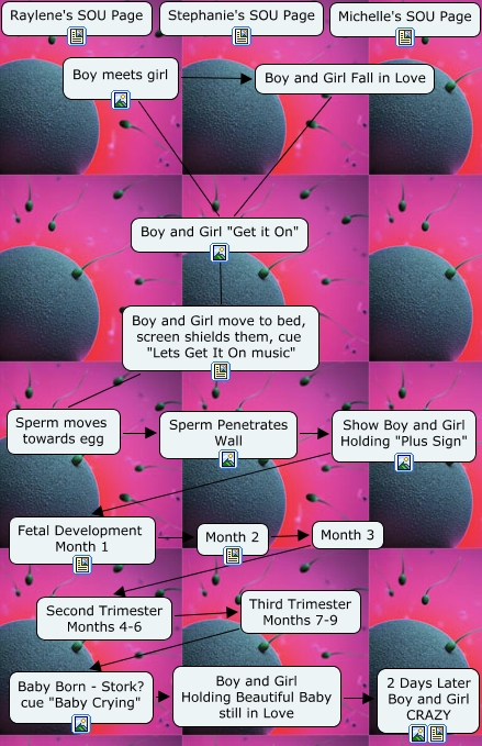 Baby Life Cycle