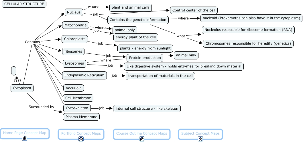 Cellular Structure