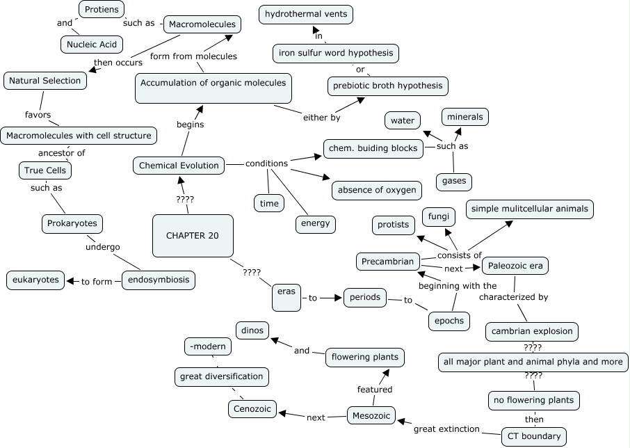 Chapter 20 Concept map