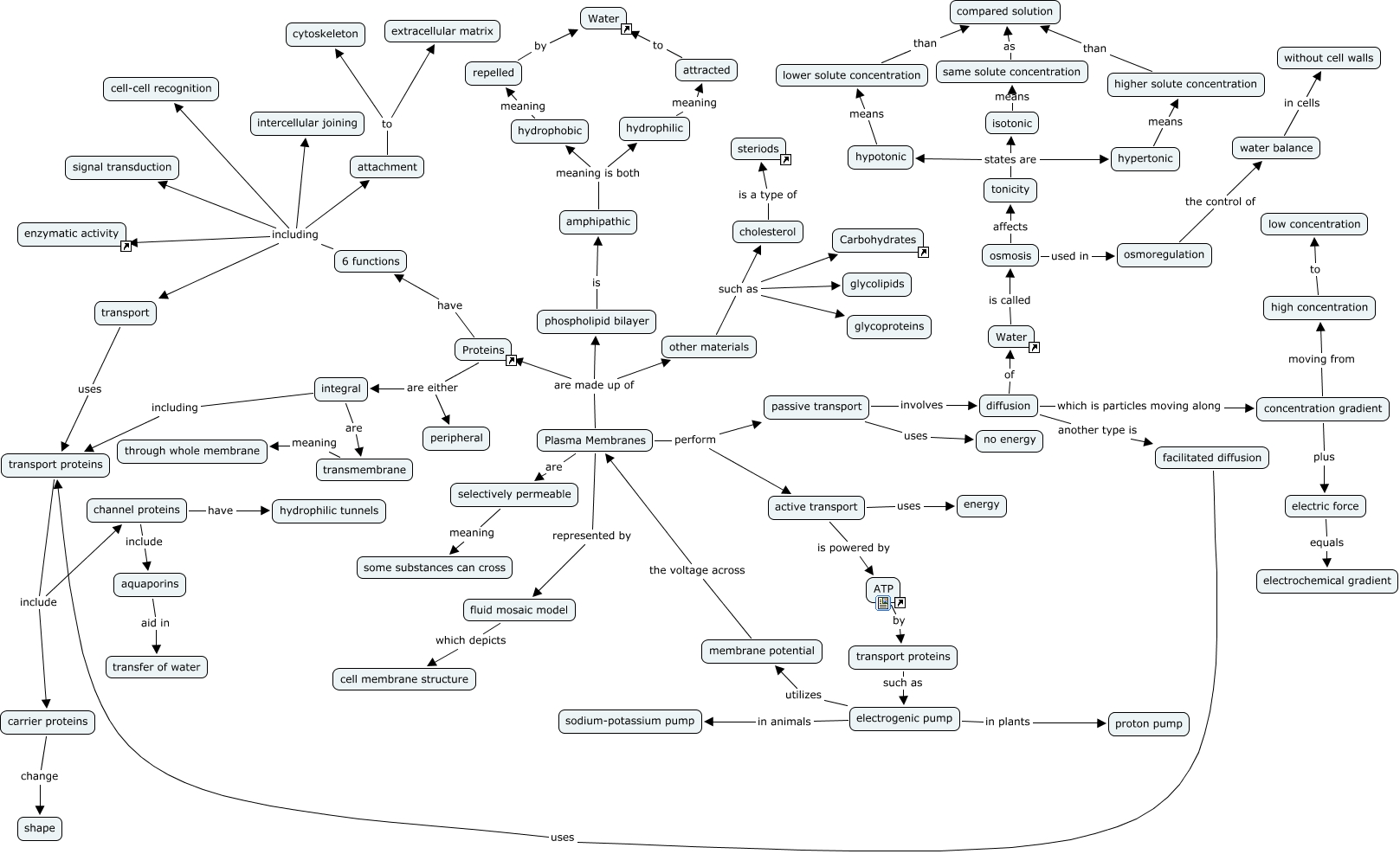 Protein Structure And Function Concept Map