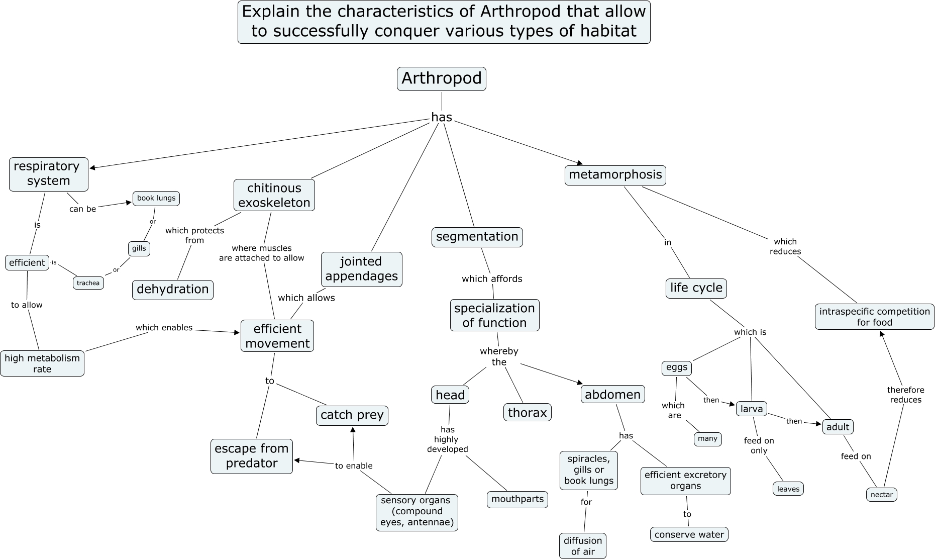 How arthropods are successful