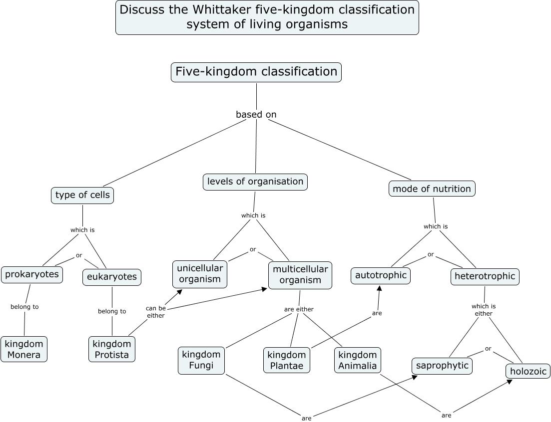 Kingdom Classification System
