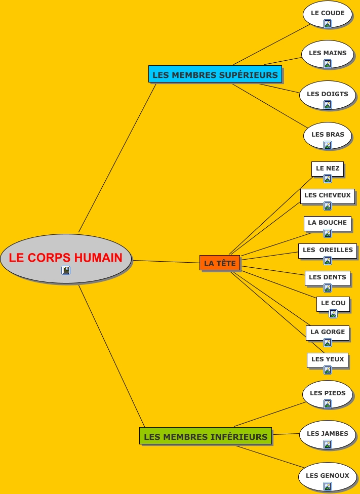 CORPS HUMAIN