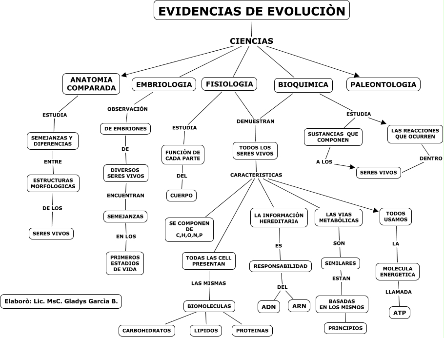 EVIDENCIAS DE EVOLUCIÒN