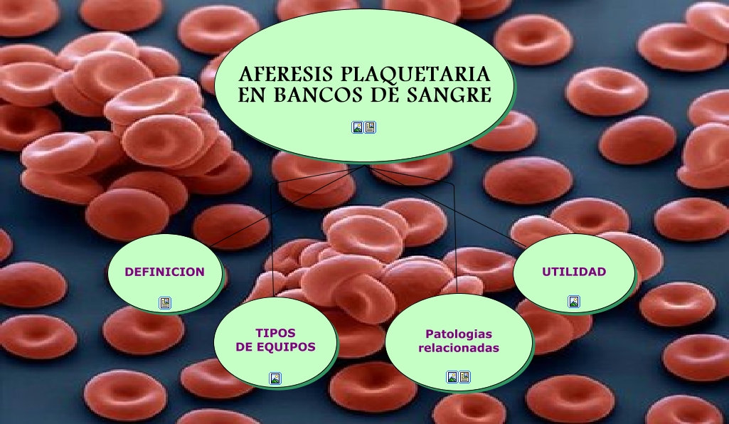 MAPA CONCEPTUAL AFERESIS ROSSANA RIOS