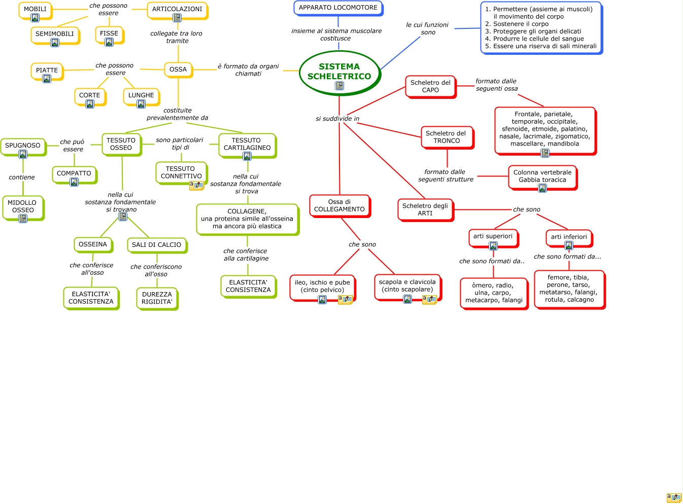 SISTEMA SCHELETRICO - Mappa Concettuale