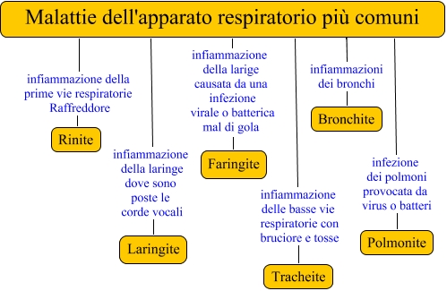 Malattie più comuni dell'apparato respiratorio - Quali sono le malattie ...