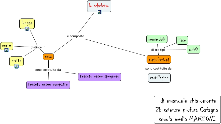 lo scheletro emanuele - Mappa Concettuale