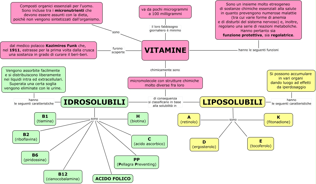 VITAMINE - Mappa Concettuale