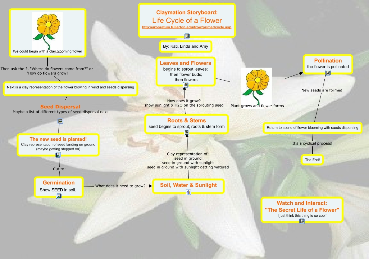storyboard - What is the life cycle of a flower?