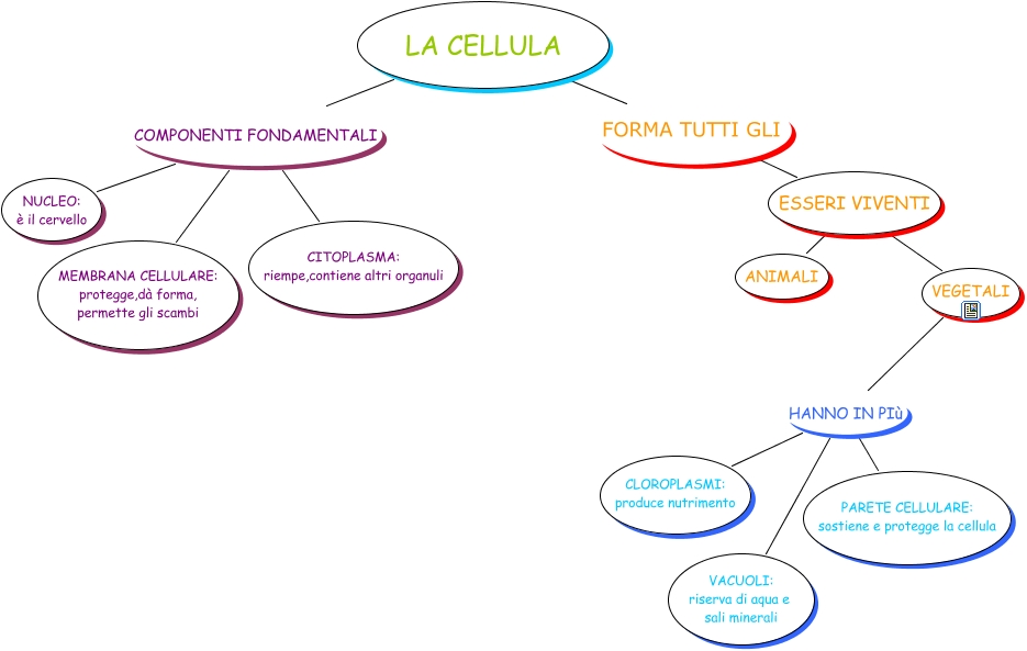 LE CELLULE - Mappa Concettuale