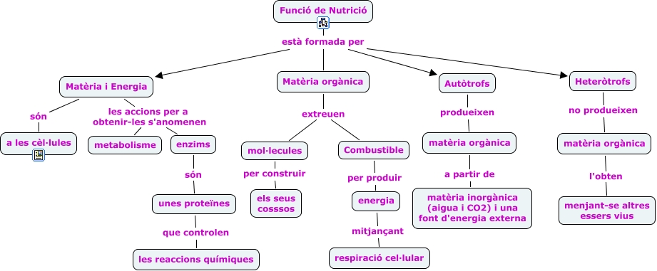 nutricio