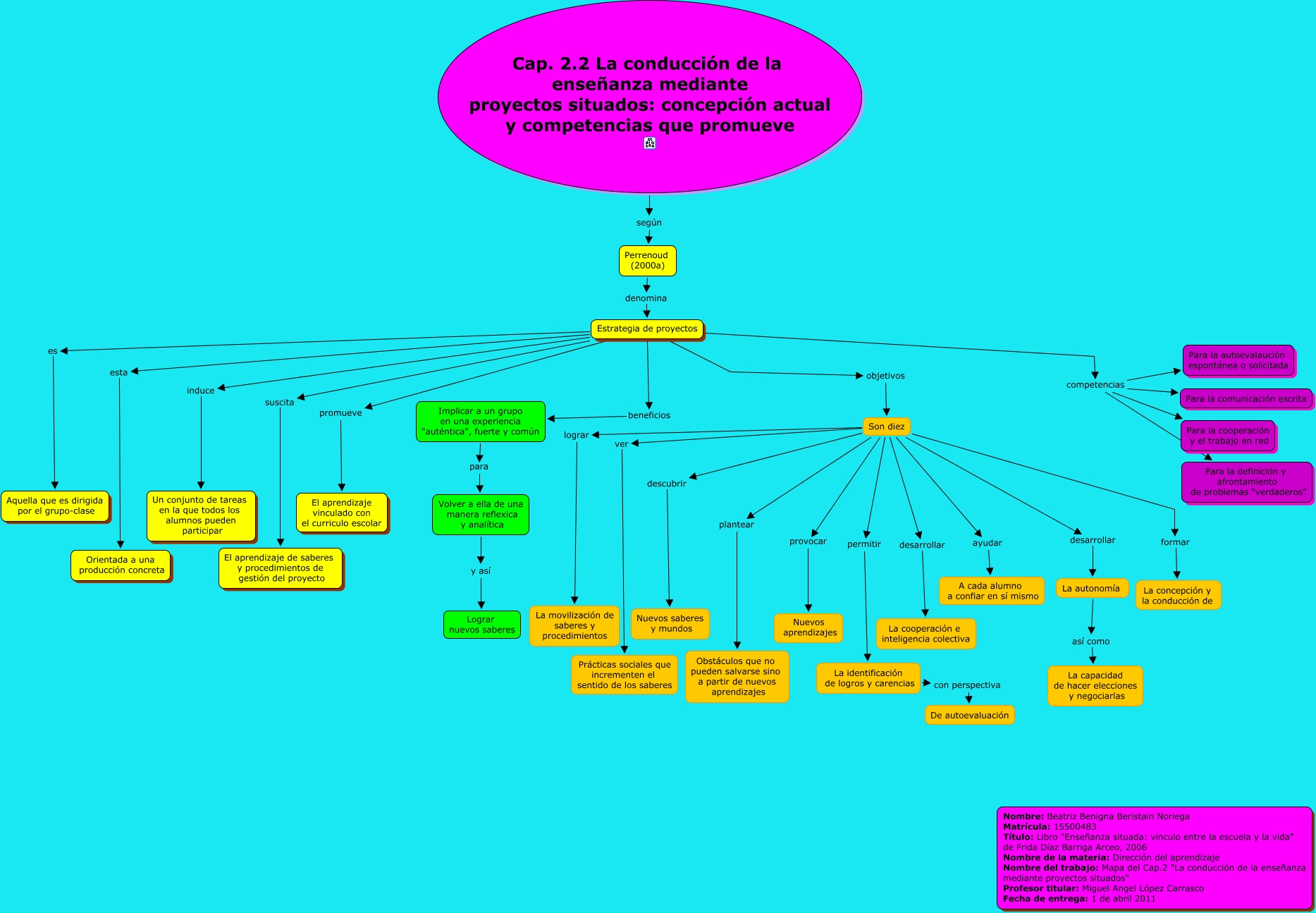 Cap2-2-Díaz-Barriga-Proyectos