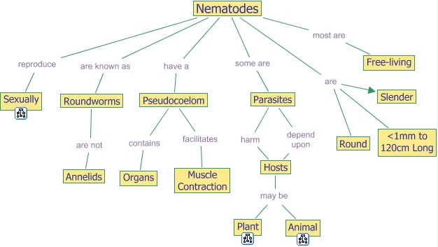 Nematodes