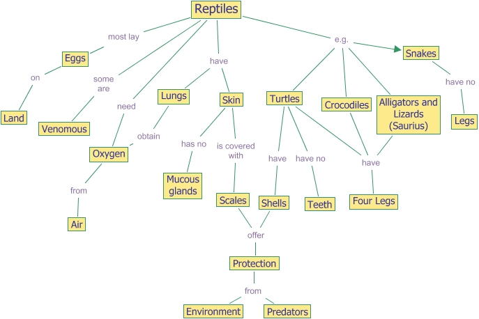 Reptiles - English