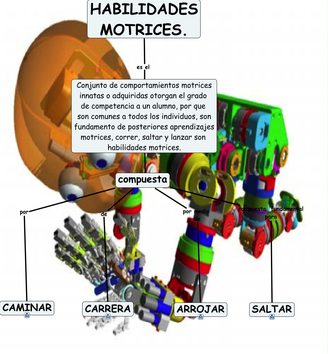 HABILIDADES MOTRICES