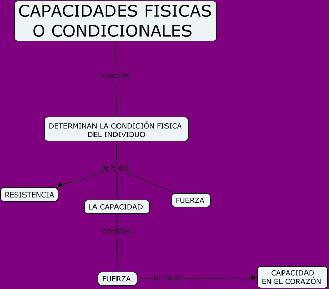 CAPACIDADES FISICAS O CONDICIONALES