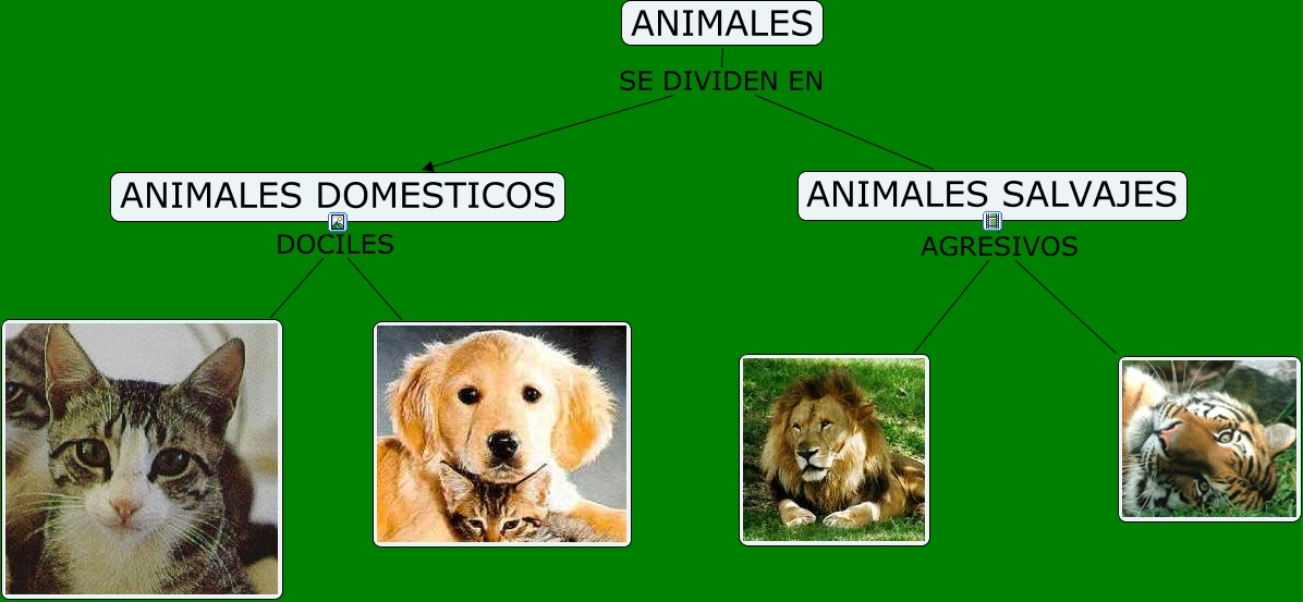 animales domesticos y salvajes.cmap