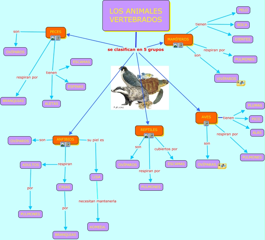 Los animales vertebrados