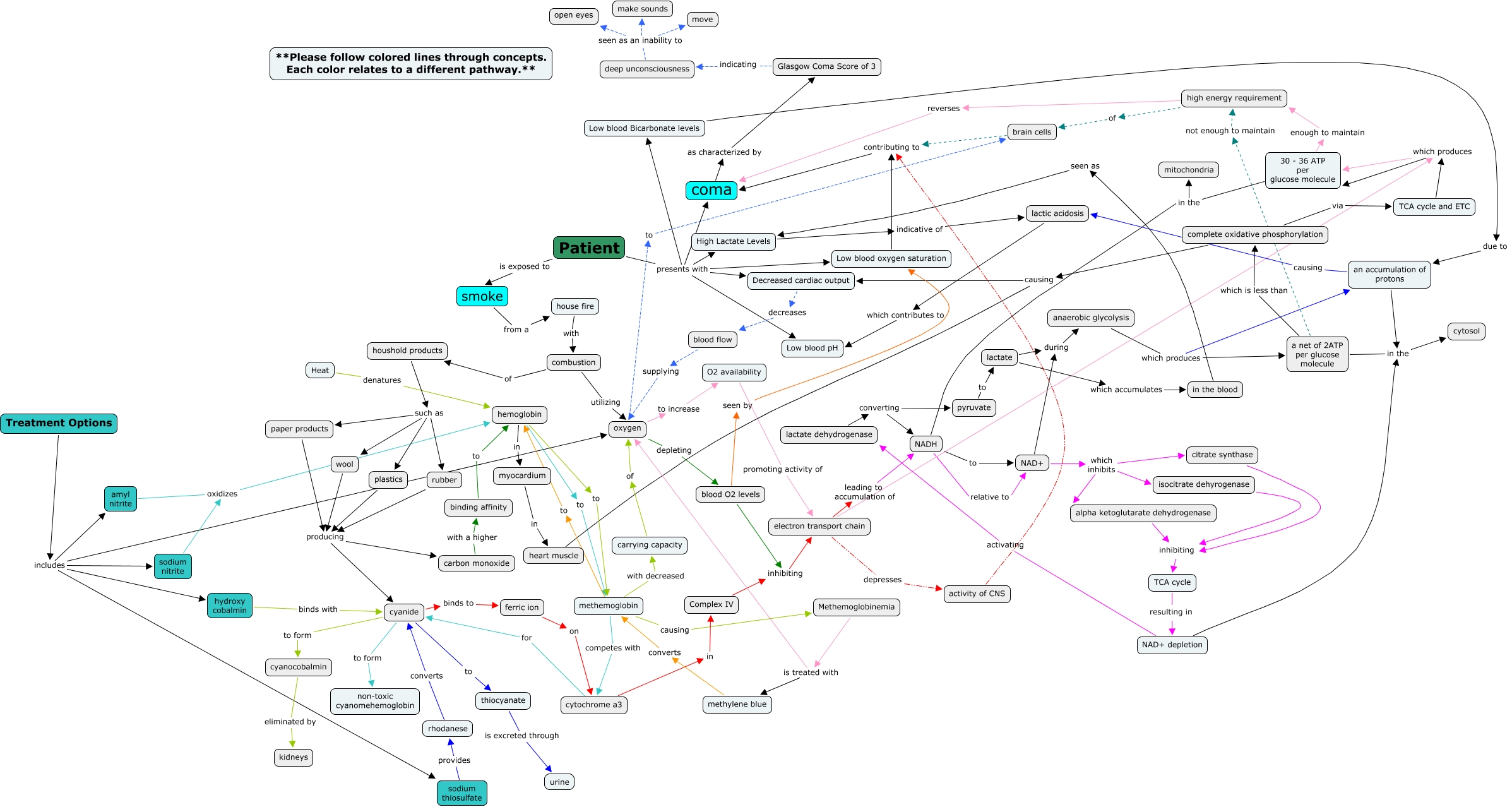 Biochem A1 Smoke Inhalation
