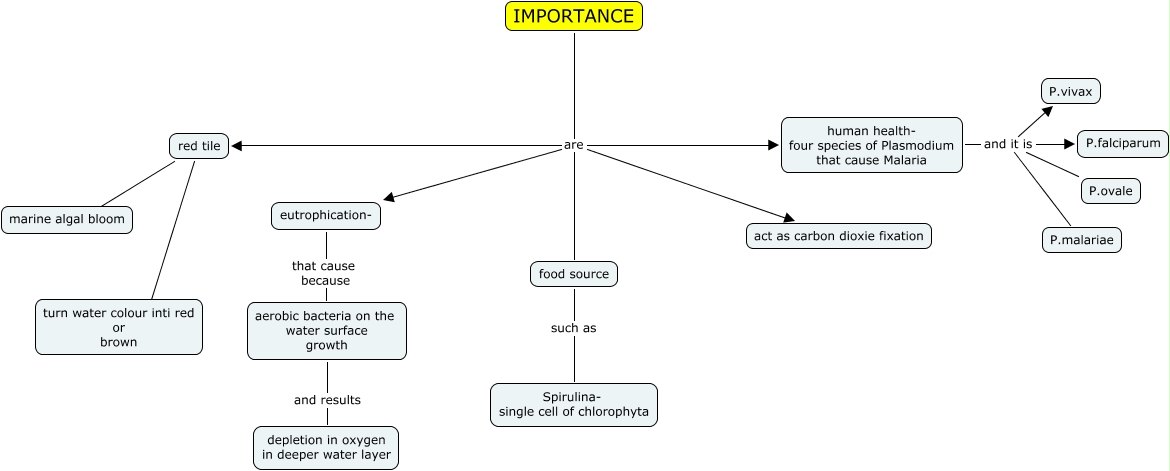 Kingdom Protista Concept Map