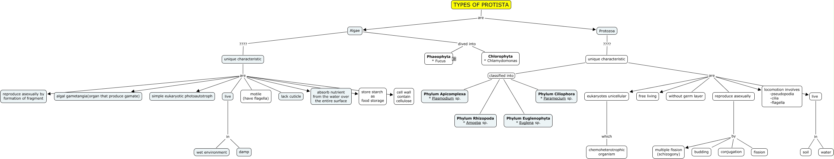 kingdom protista-types - types of protista