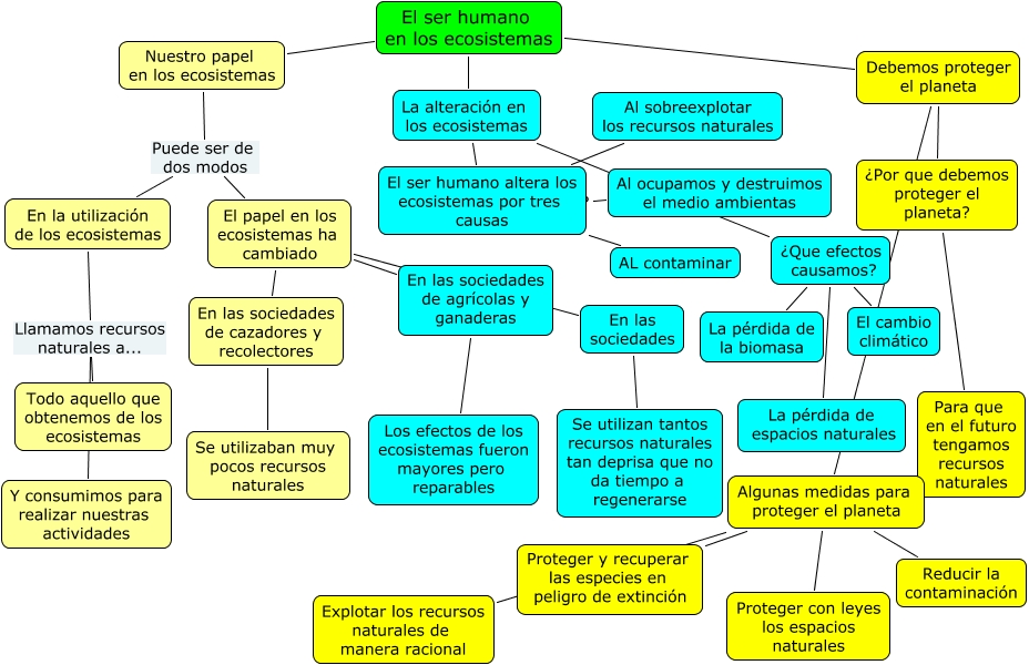 El ser humano en los ecosistemas