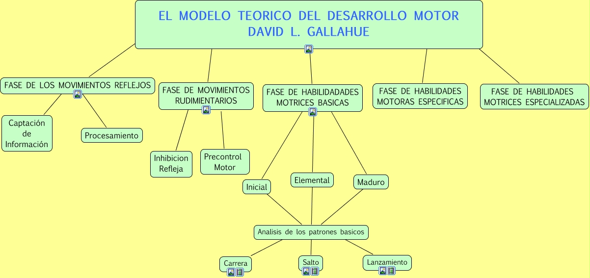 teoria