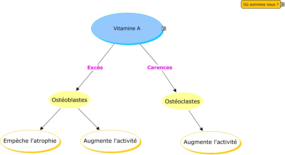 Croissance osseuse et vitamine A