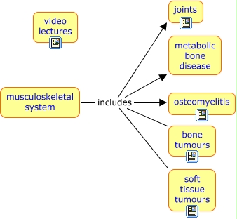 Unit 13 MSK