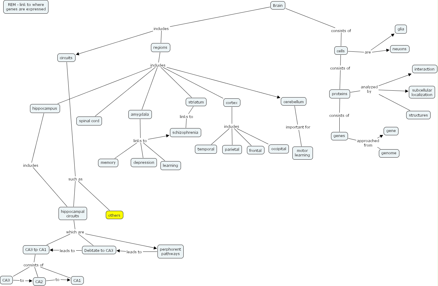 IHMC CmapTools - Concept Map :: Nervous systems