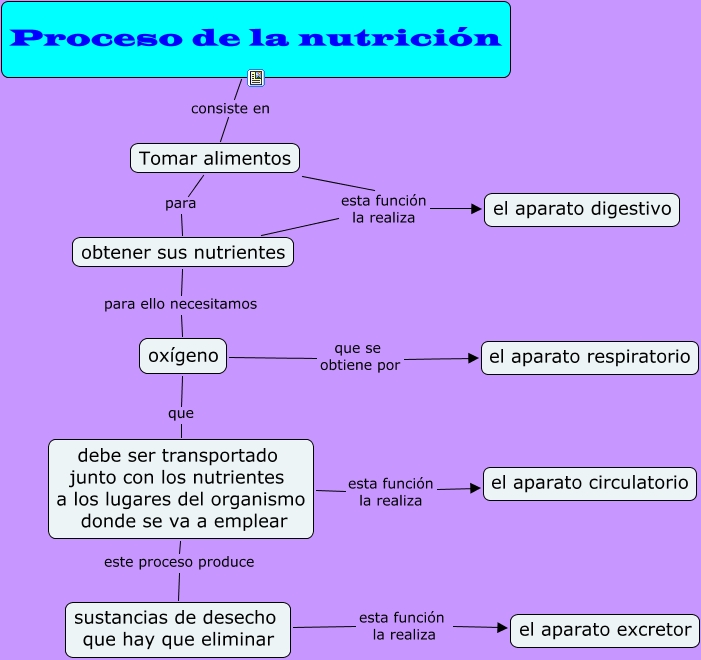 Proceso de la nutrición