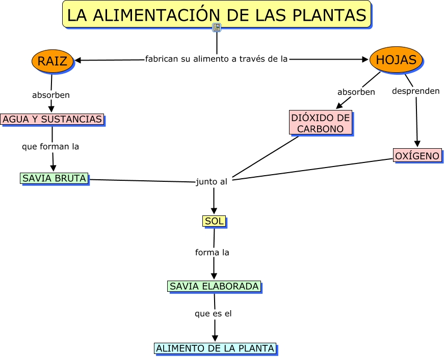 LA ALIMENTACIÓN DE LAS PLANTAS