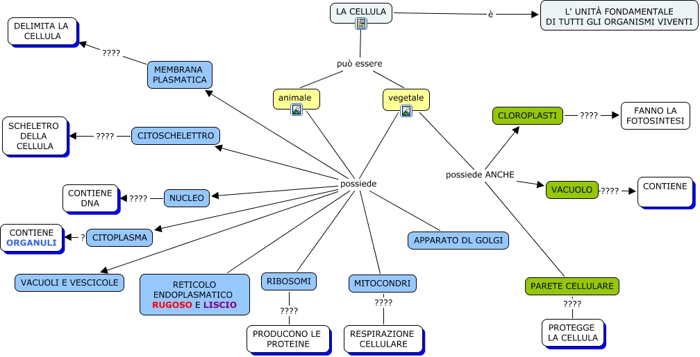 la cellula FINITA - Mappa Concettuale