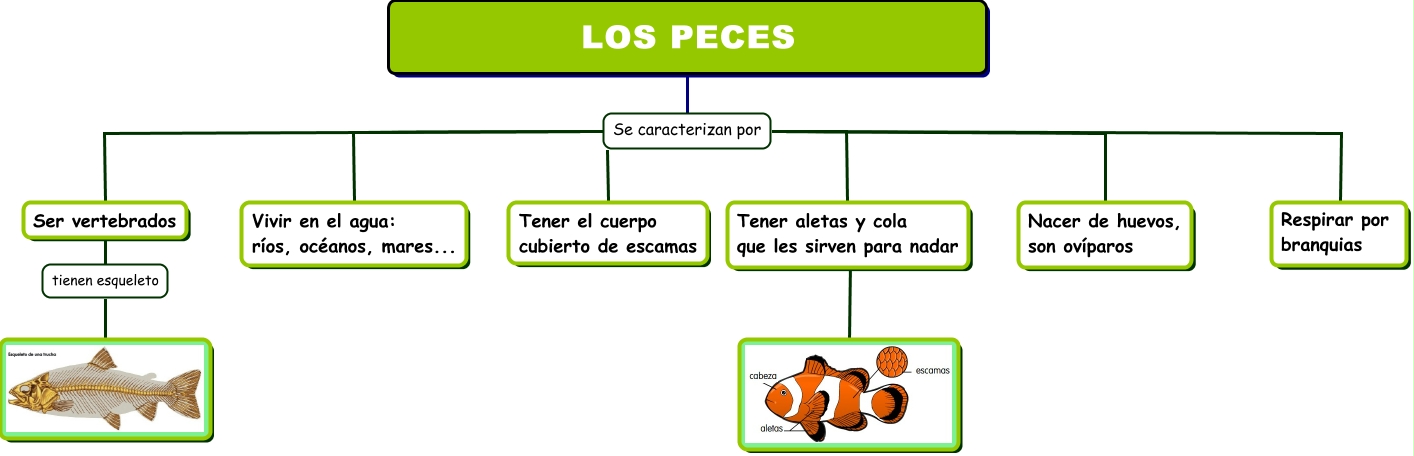 Los peces