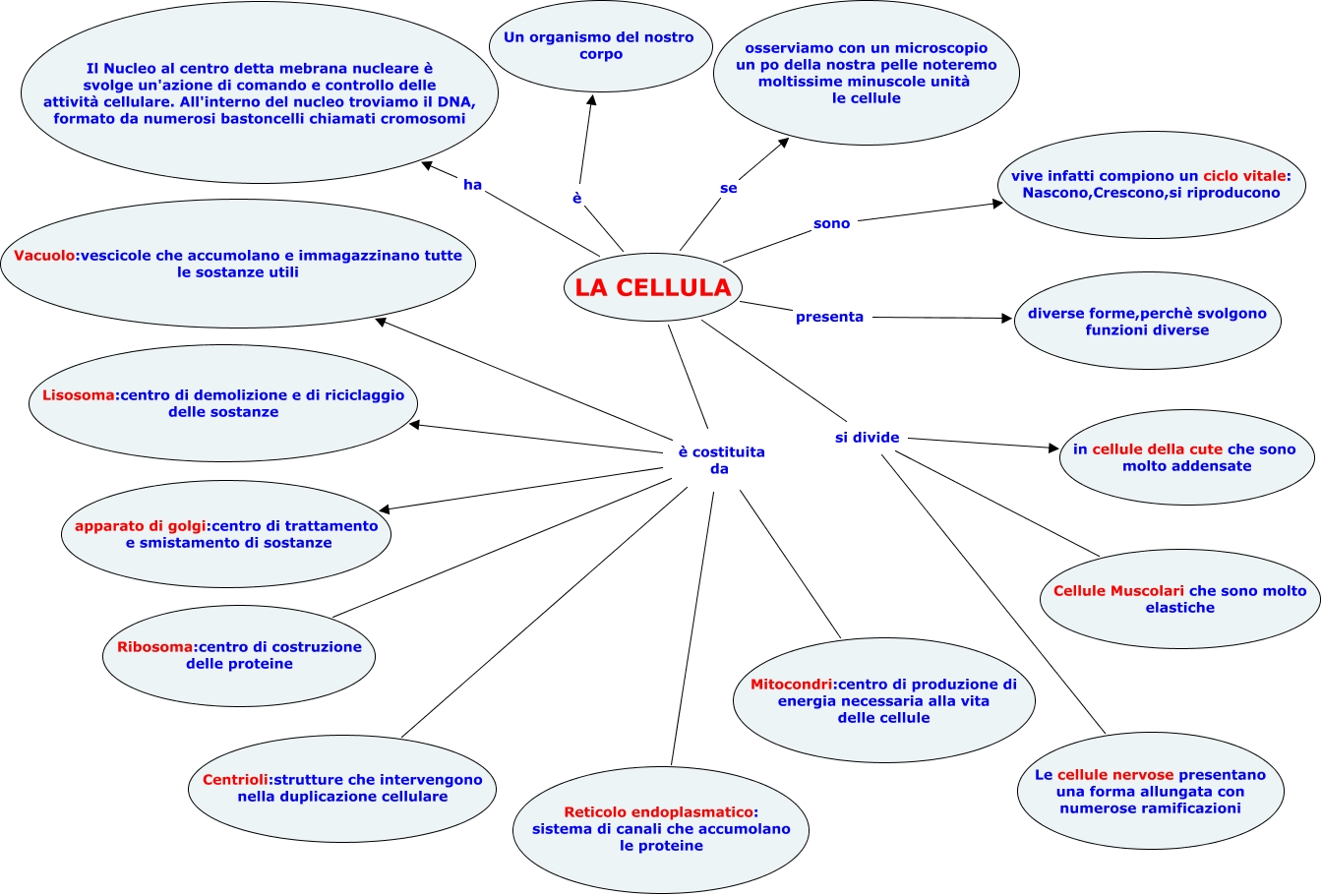 La Cellula - Mappa Concettuale