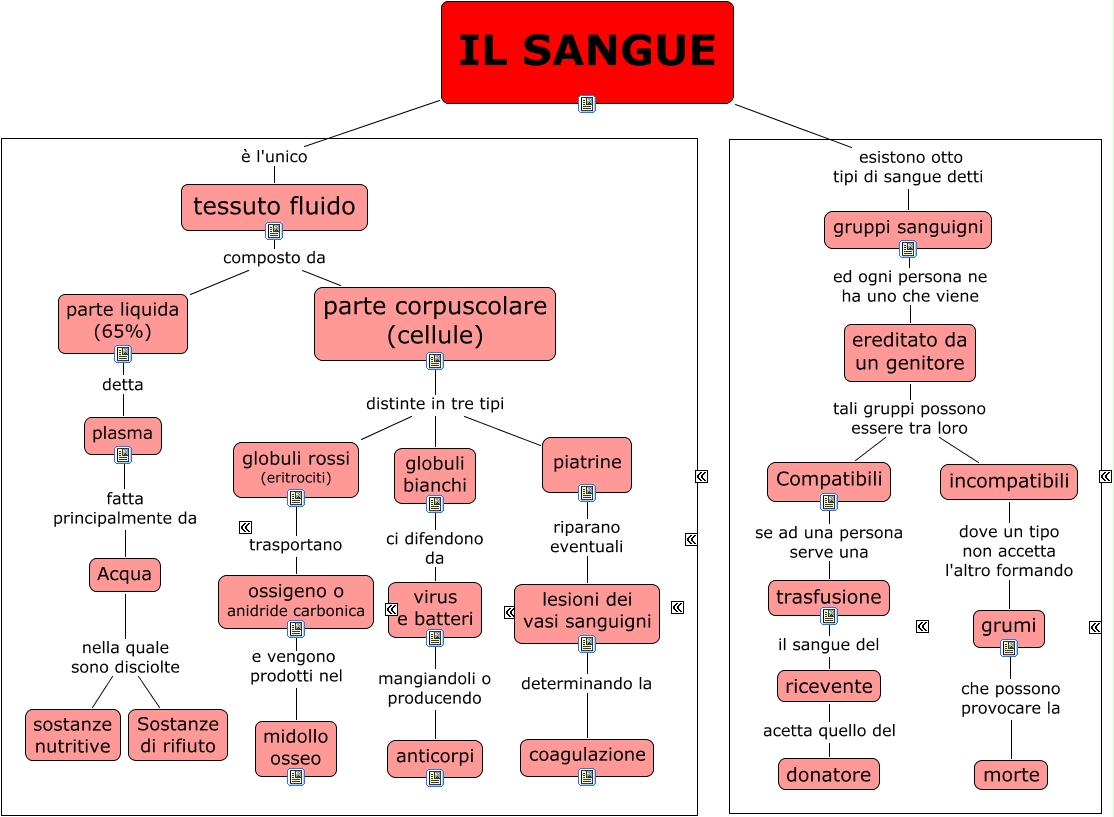 il sangue