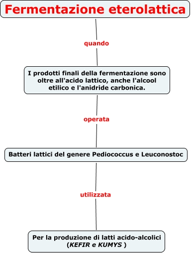 Fermentazione eterolattica.cmap