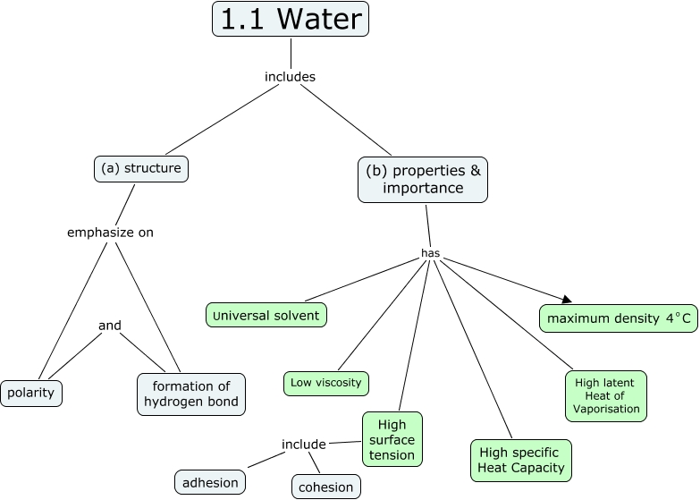 Properties Of Water Concept Map Biology